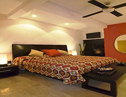 Hotel Blue Parrot Fifth Avenue - Playa Del Carmen - Riviera Maya-Playa ...