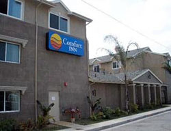 Hotel Comfort Inn Cockatoo - Hawthorne - Los Angeles